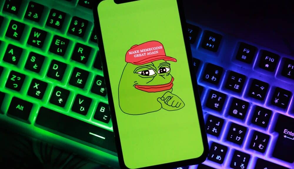 Pepe (PEPE) Coins Become The Biggest Meme Coin In 2024 - coincept